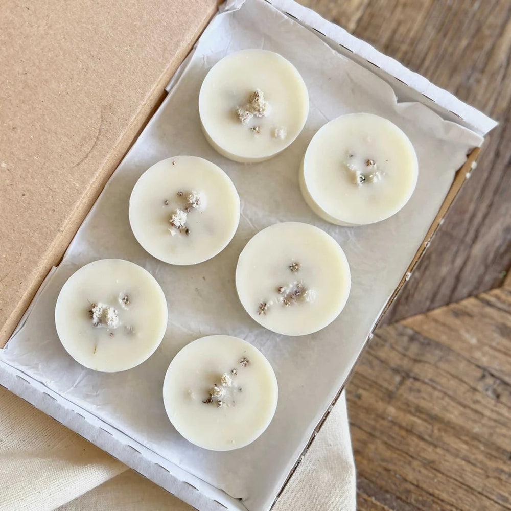 Fox and Marsh - Eco Friendly Dorset – Fox & Marsh